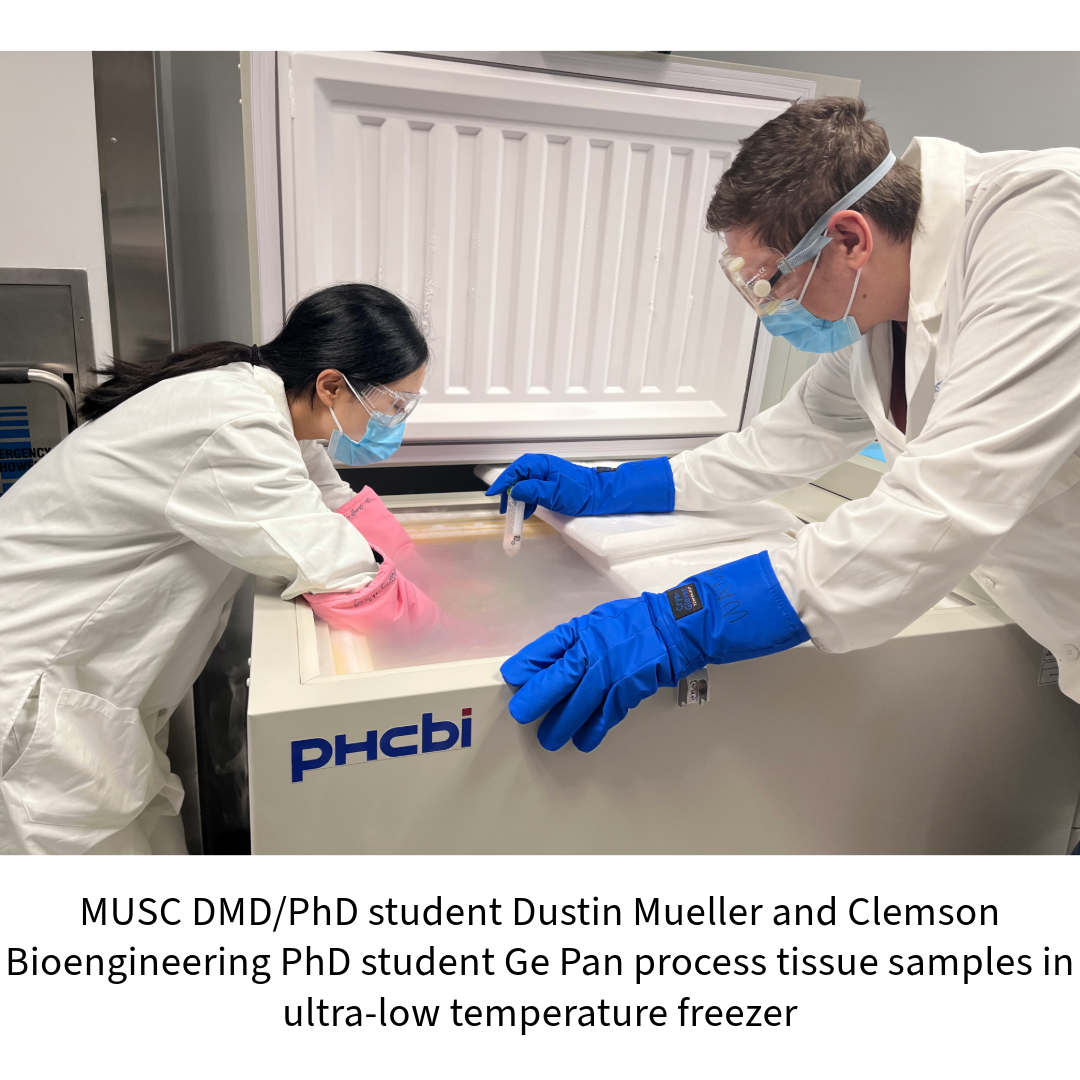 Breakthrough on Tissue Preservation Offers New Hope for Knee and Jaw ...